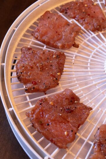 Malaysian Pork Jerky - Jerkyholic