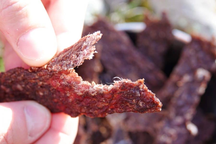 Homemade Dog Jerky - Jerkyholic